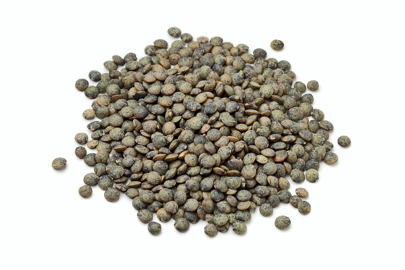Lentille : un légume sec - Fiches pratiques du potager