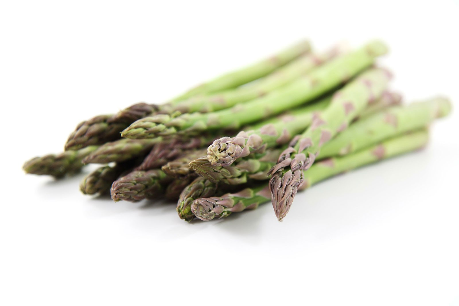 Asperge : semis, récolte, entretien - Fiches pratiques du potager